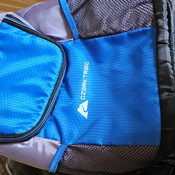 Ozark Trail | Accessories | Ozark Trail Lunch Bagcoolerbackpack | Poshmark